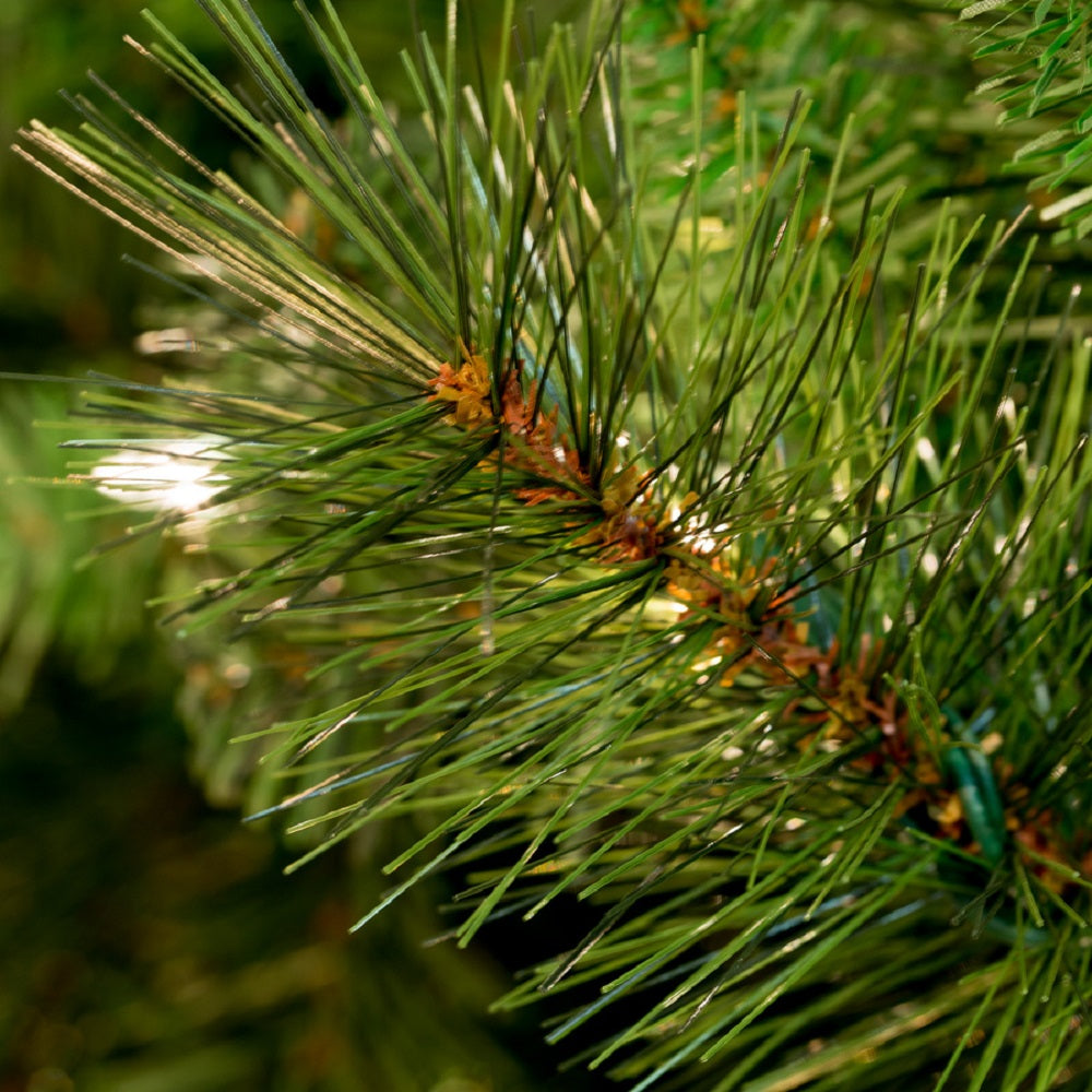 Holiday Living 9-ft Pre-Lit Robinson Fir Artificial Christmas Tree | My ...