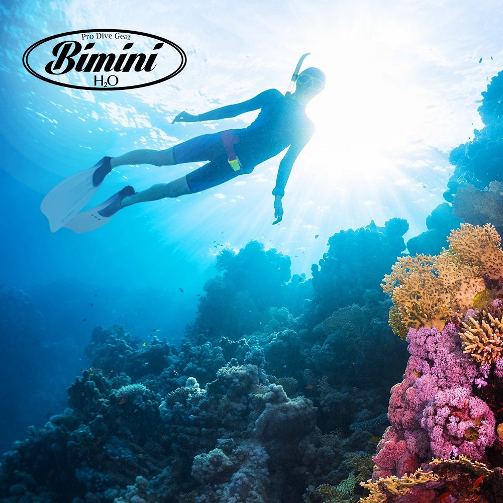 Bimini H2O Gear Lagon Diving Scuba Fins White Size 5-6 | My Quick Buy